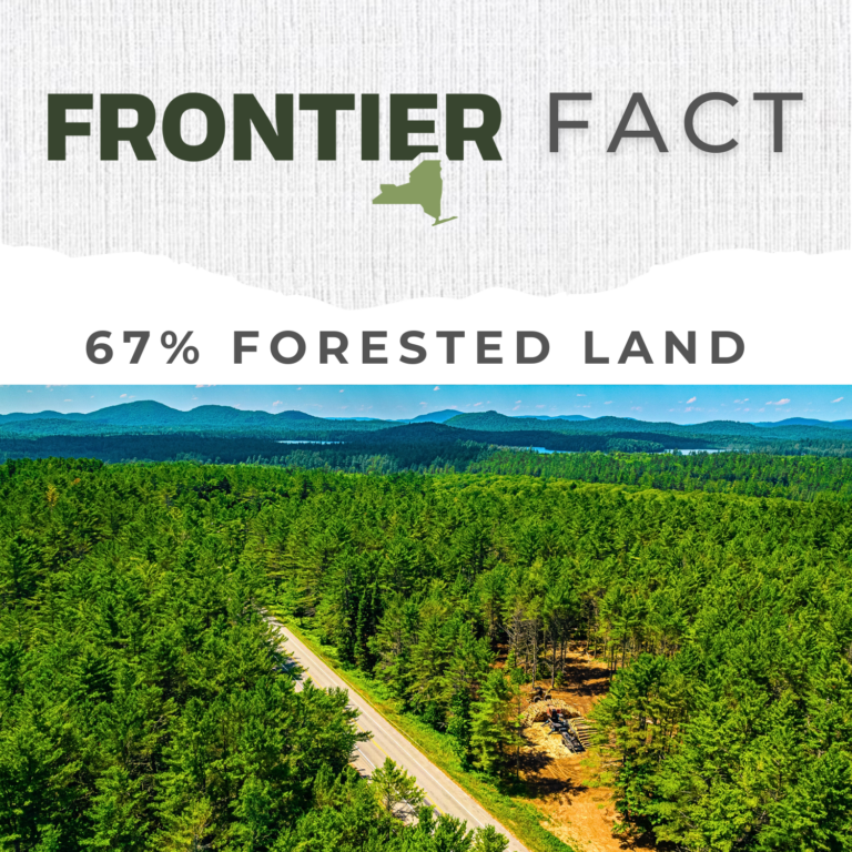 Frontier Fact: 67% Forested Land - Adirondack Frontier Franklin County